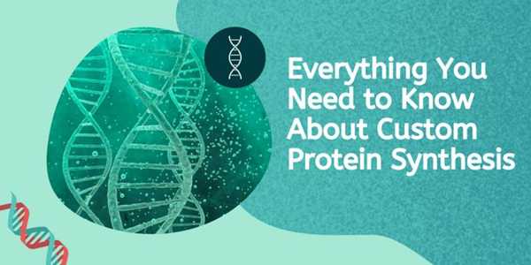 flexfeedspeck.com - Everything You Should Know About Custom Protein ...